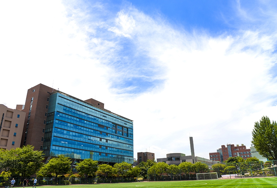 College of Engineering - UNDERGRADUATE